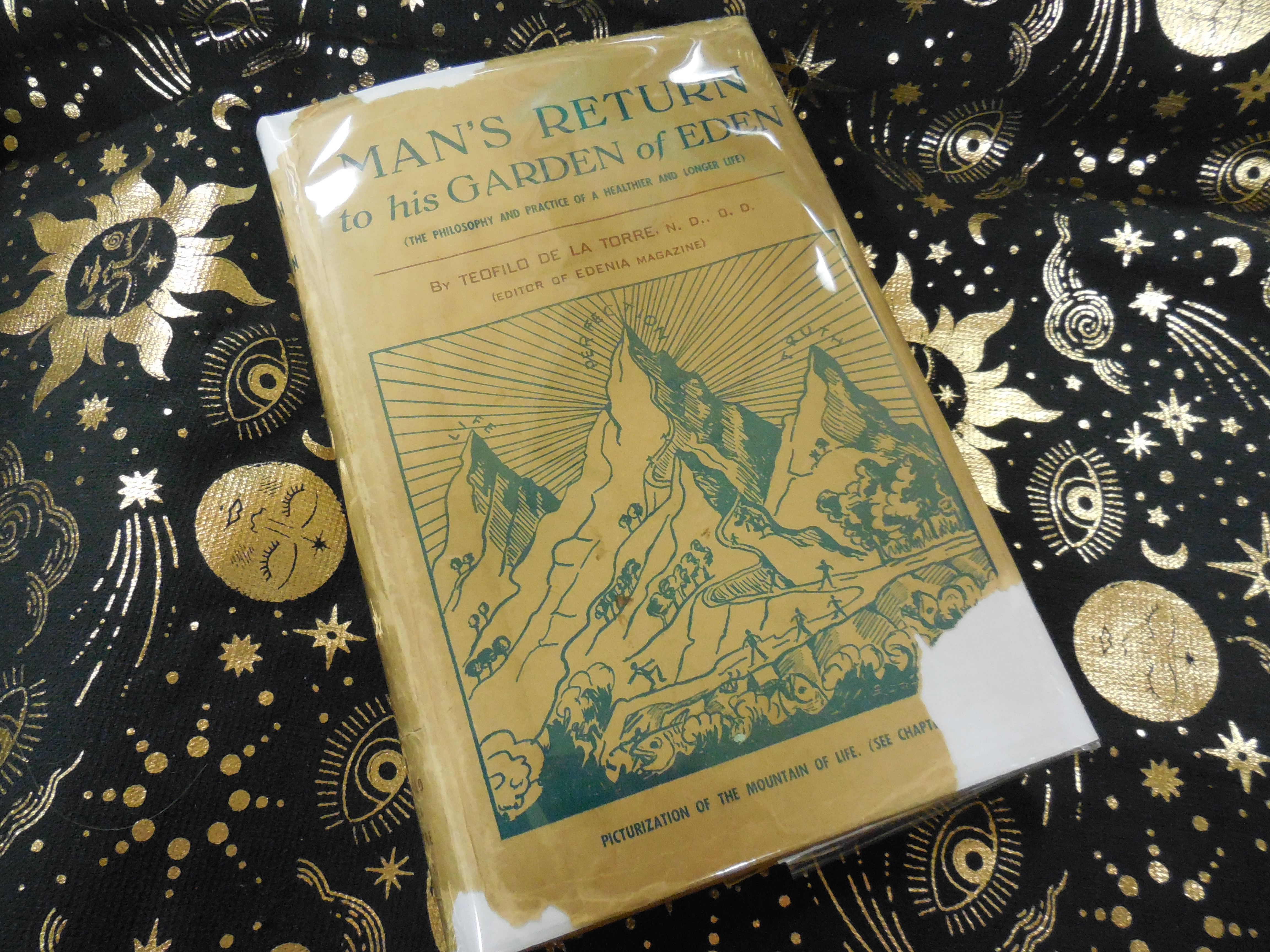 The Forgotten Books of Eden