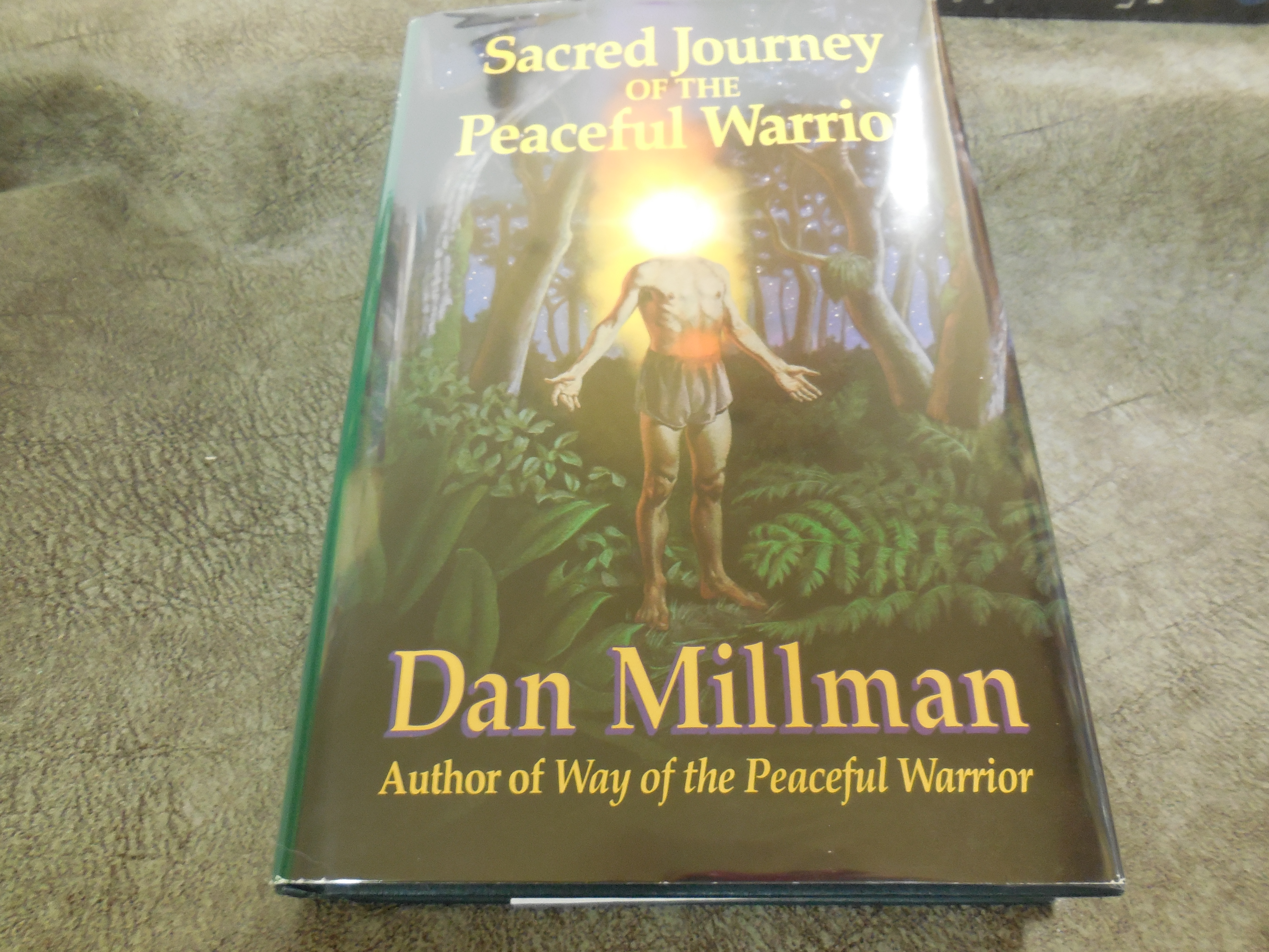 Sacred Journey, The: Jung, Blavatsky, Nietzsche, Marian Visions and UFO's